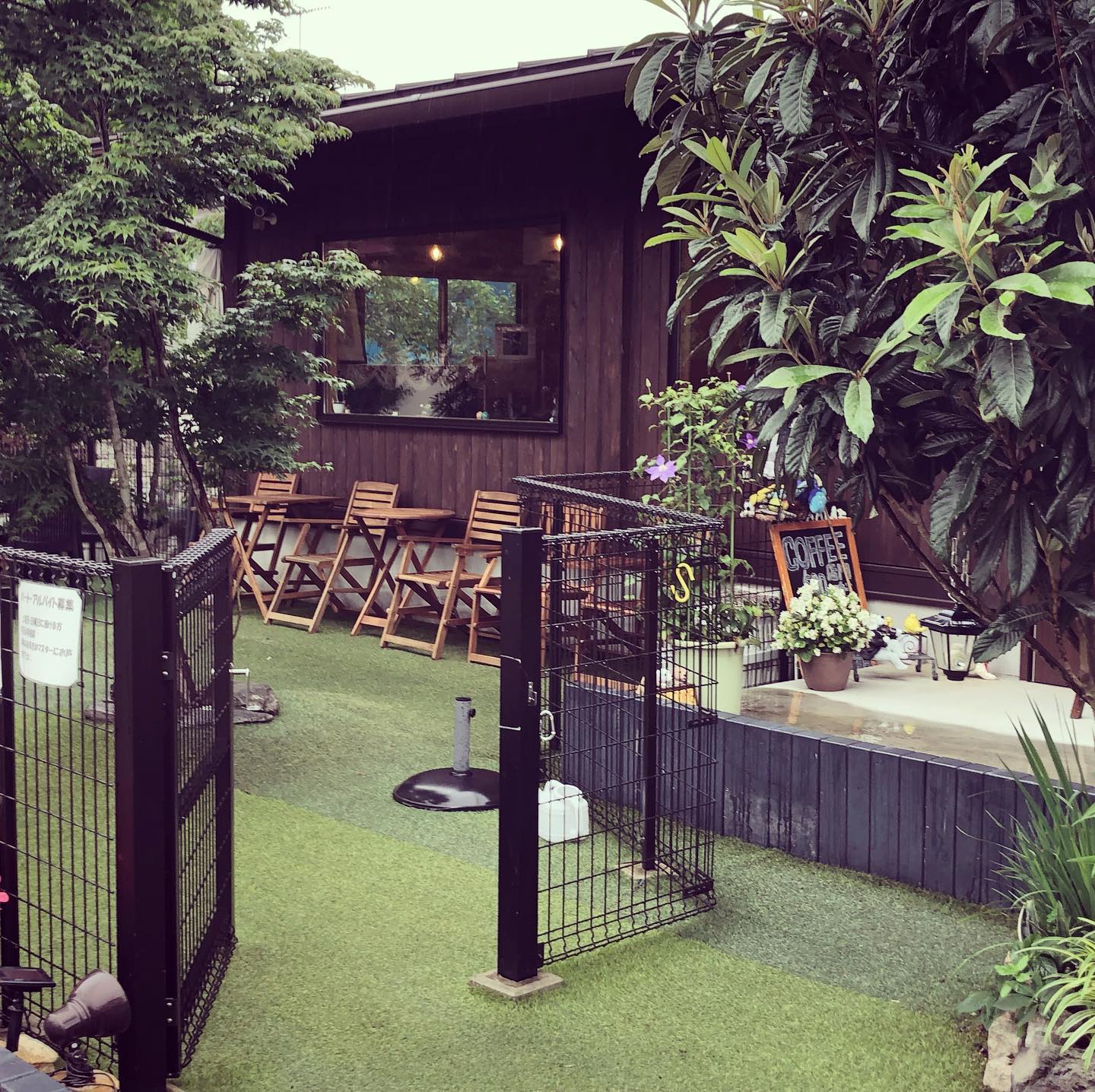 ccayaeaeeeae-acaafafsafaafaafaf-googleaeinstagramaeshopifyae-line-afaca ...